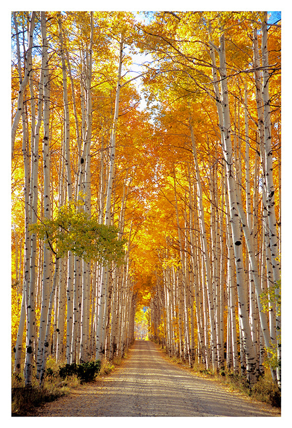 Susan Davis: Photography – Works of Wyoming Gift n Gallery